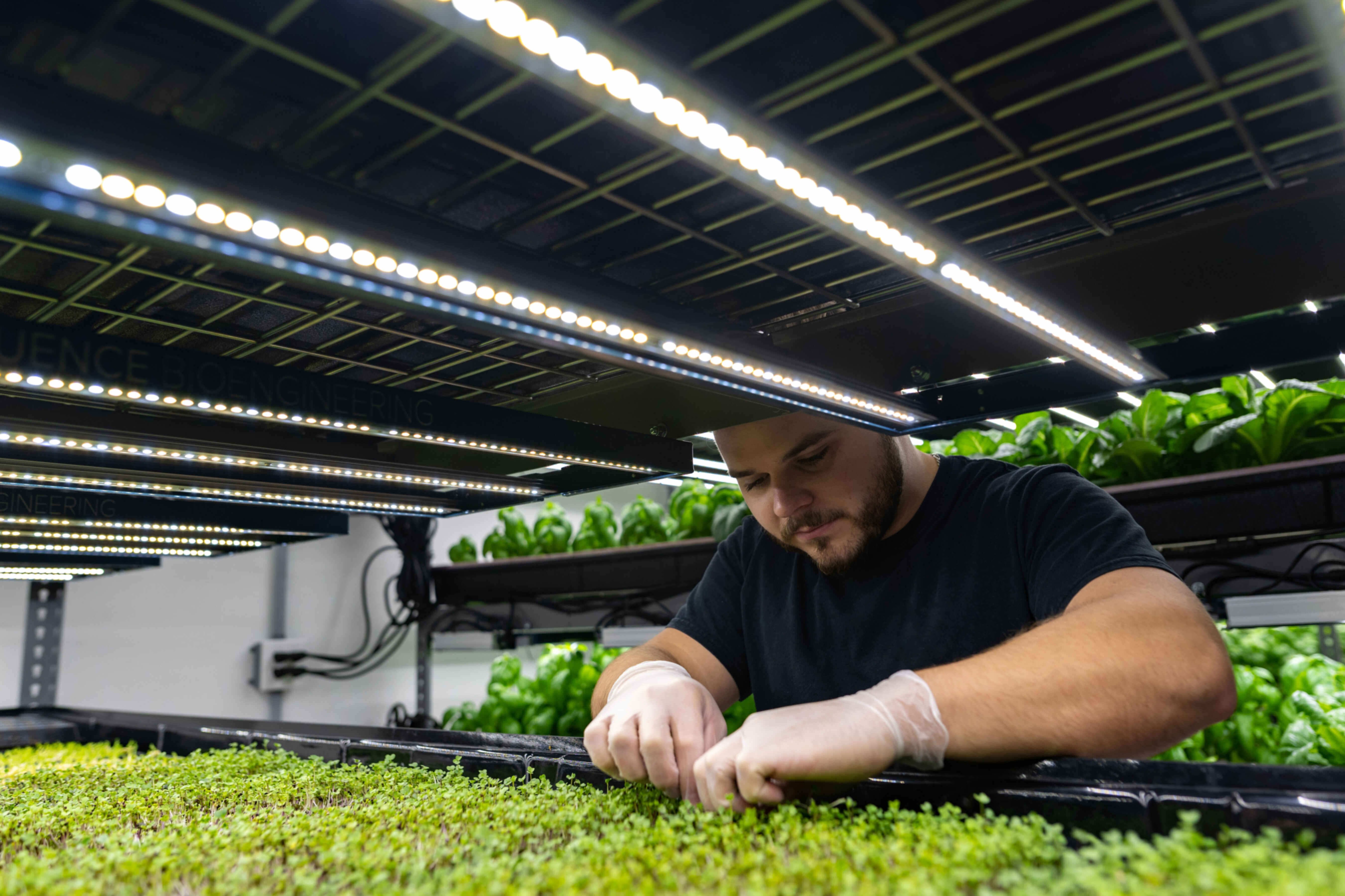 Agri-food | Breakthrough Victoria